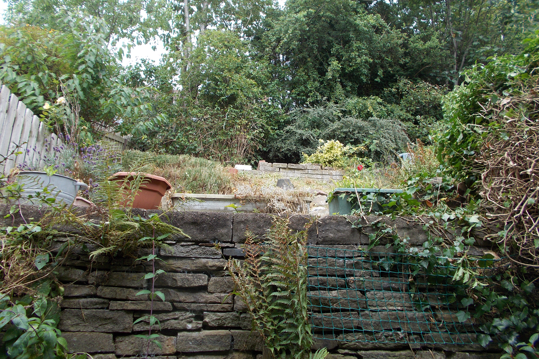 News | South Yorkshire's Community Foundation